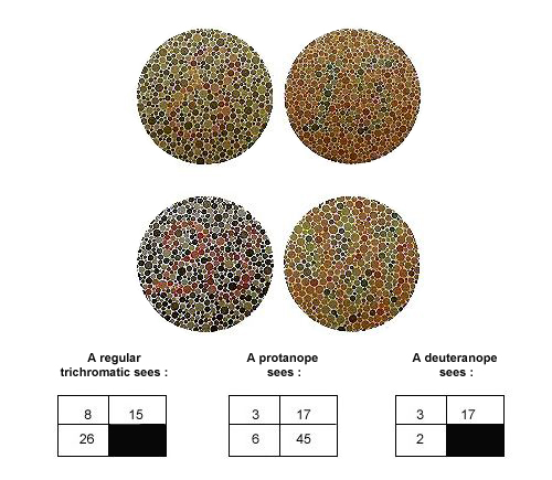Free Online Eye Test Far Vision